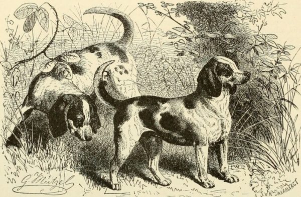 "Glop glop, pas glop, pas glop" — Définition de l'expression